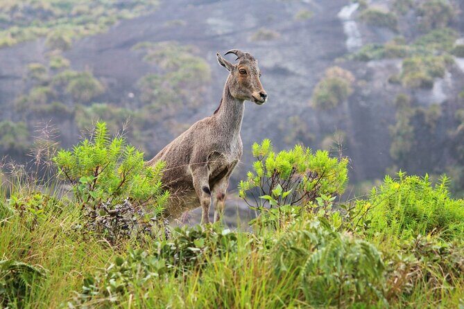 Southern India: Where Culture Meets Nature - The Sum Up