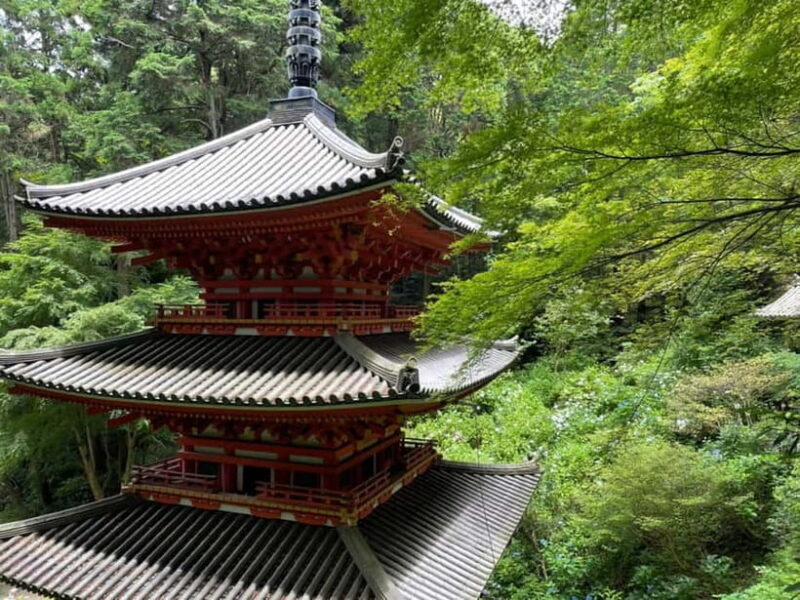 Southern Kyoto: Journey to Jruri-ji & Its Pure Land Garden - Key Points