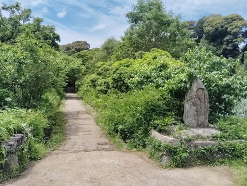 Southern Kyoto: Journey to Jruri-ji & Its Pure Land Garden - Exploring Jruri-ji: A Balance of History and Aesthetics