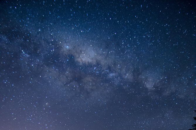 Southern Skies Stargazing Tour in Dunedin - An In-Depth Look at the Tour Experience