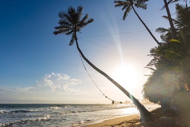 Southern Sri Lanka Day tour from Hambantota - A Closer Look at the Itinerary