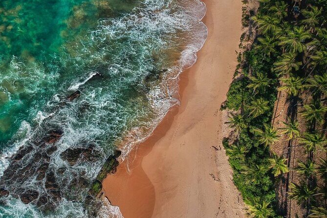 Southern Sri Lanka Day Tour with Barberyn Island Visit - Who Would Love This Tour?