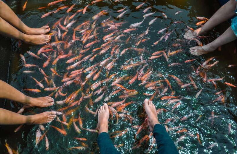 Southern Sri Lanka: Sea, Sand & Marine Life 2-Day Tour - Key Points