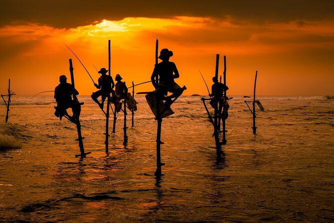 Southern Sri Lanka Sightseeing Day Trip From Colombo & Negombo - A Detailed Tour Review: What to Expect and Why It Matters