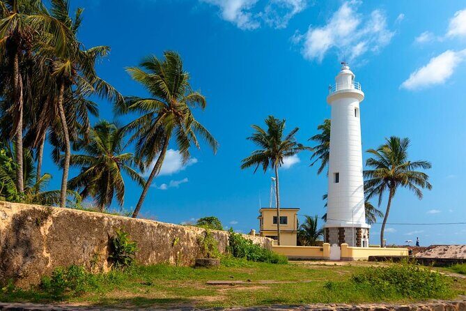 Southern Sri Lanka Sightseeing Day Trip From Colombo & Negombo - Starting Point: From Colombo or Negombo