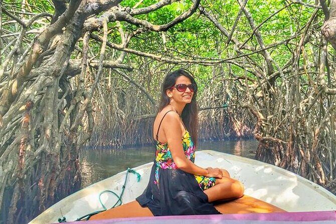 Southtern Sri lanka Day Tour from Colombo , Kaluthara or Bentota - Who Will Love This Tour?