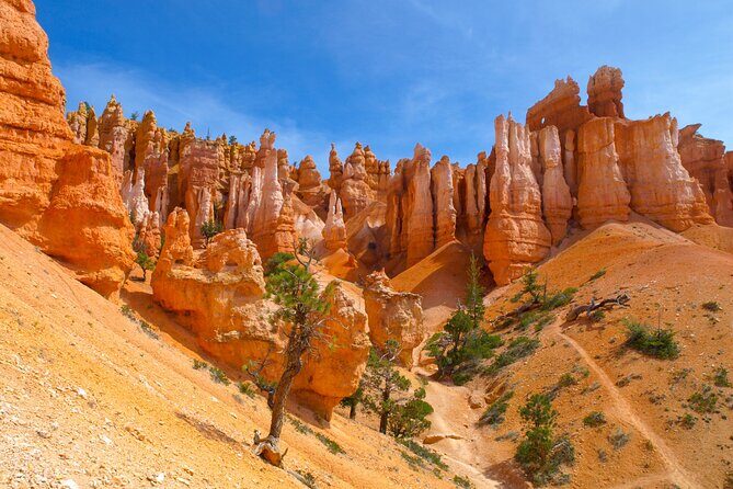 Southwest Giant Ring W/National Parks 4-Day Tour from Las Vegas - What Makes This Tour Stand Out?