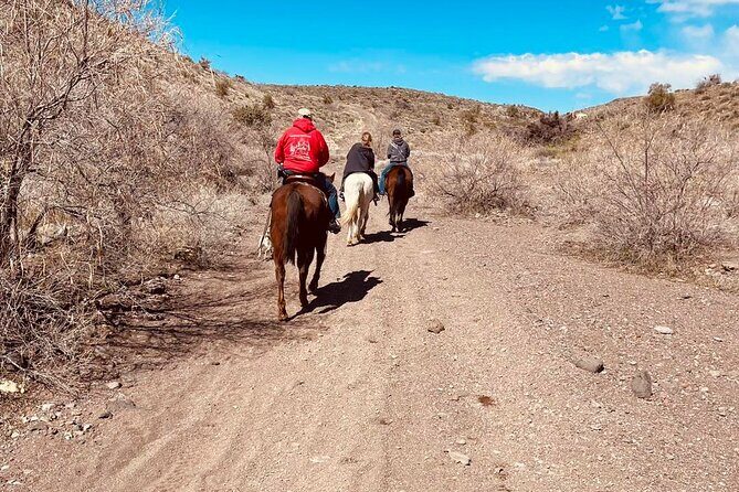 Southwest Horseback Riding with Spectacular Views - An In-Depth Look at the Tour Experience