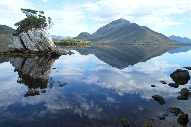 Southwest Tasmania Wilderness Experience: Fly Cruise and Walk Including Lunch - What the Tour Offers: An In-Depth Look
