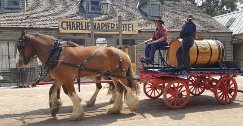 Sovereign Hill & 12 Apostle Private Tour  Up to 14 pax - An In-Depth Look at the Tour