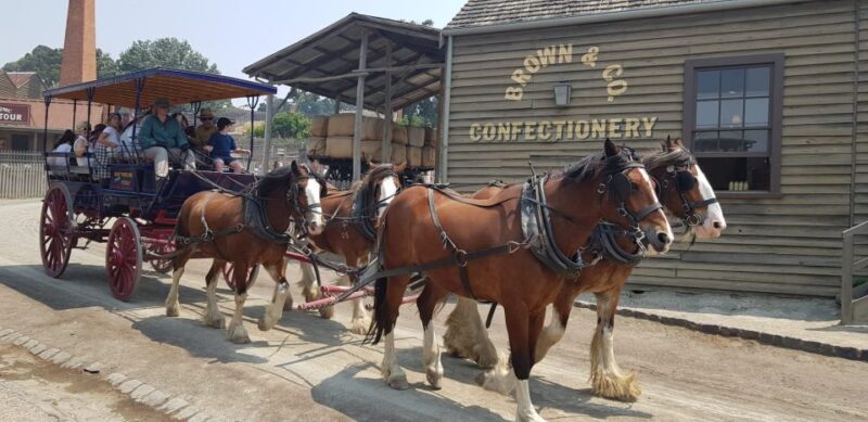 Sovereign Hill & 12 Apostle Private Tour  Up to 14 pax - FAQs