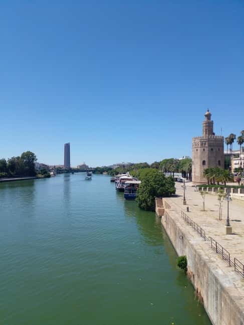 Spain Top Tour (Barcelona, Madrid, Valencia, Malaga,Sevilla) - Detailed Breakdown of Each Stop