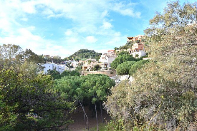 Spanish Civil War Private Walking Tour in Malaga - Price and Value