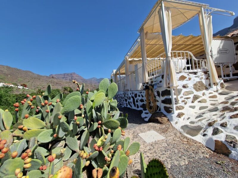 Spanish Cured Meats & Wine Tasting Tour in Mogan - Why This Tour Delivers Value