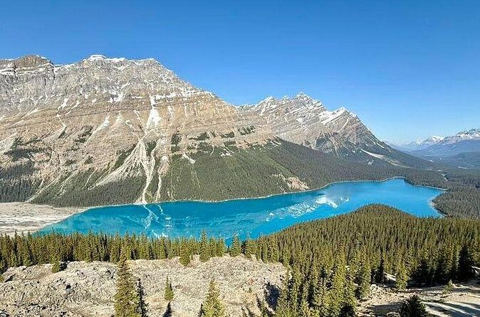 Spanish Private Tour to Columbia Icefields from Calgary - Authentic Insights and Traveler Perspectives
