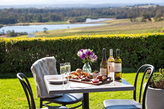 Sparkling Brunch in the Vines - What to Expect During the Tour