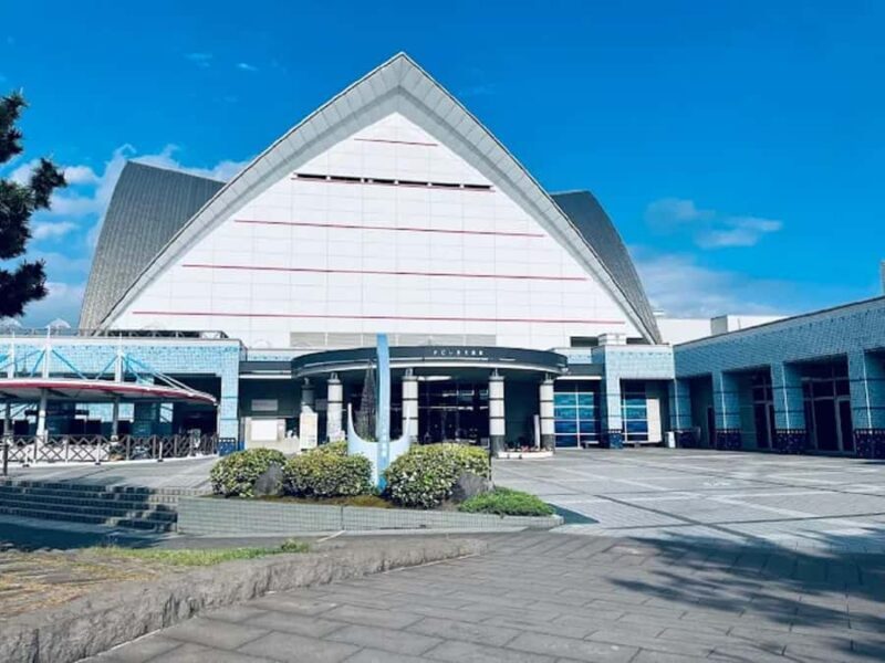 Sparks of Serenity: Discover Kagoshimas Soul Guided Tour - The Sum Up