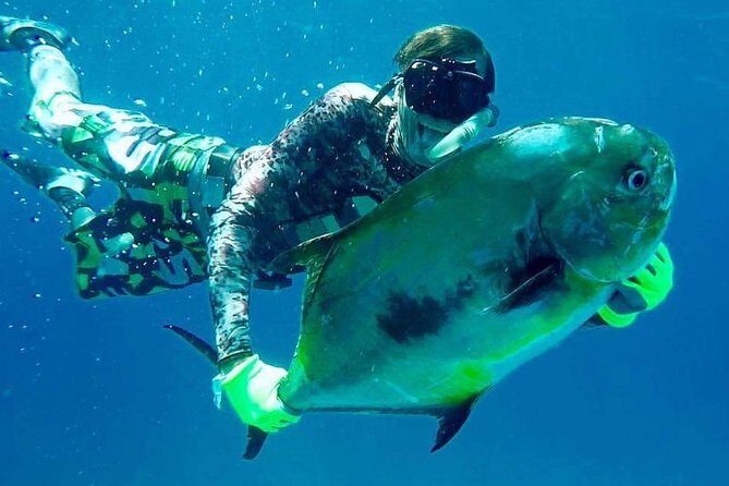Spearfishing Playa del Carmen or Tulum - Weighing the Value