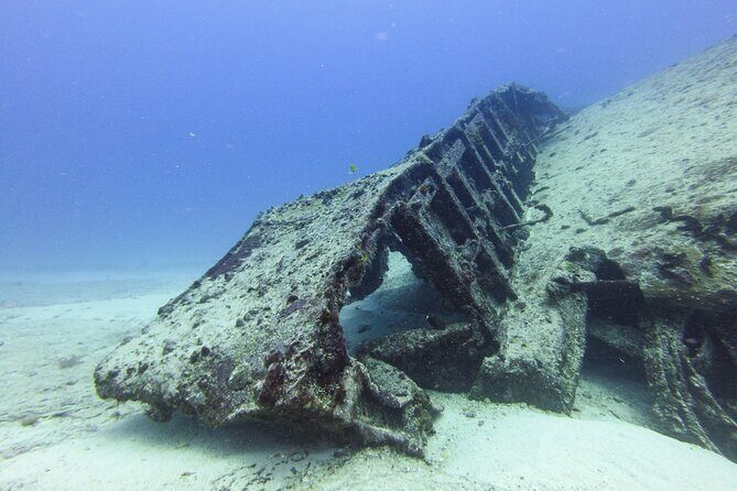 SPECIAL!! 2 Tank Wreck & Drift Reef dives - What to Expect from the Day’s Itinerary