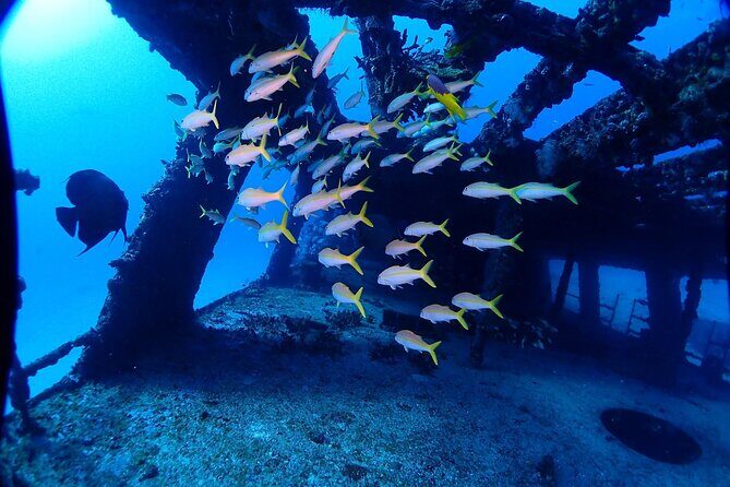 SPECIAL!! 2 Tank Wreck & Drift Reef dives - FAQs