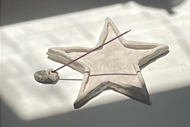 Special activity for EARLY BIRDStea tasting and japanese zen - Who Should Consider This Tour?