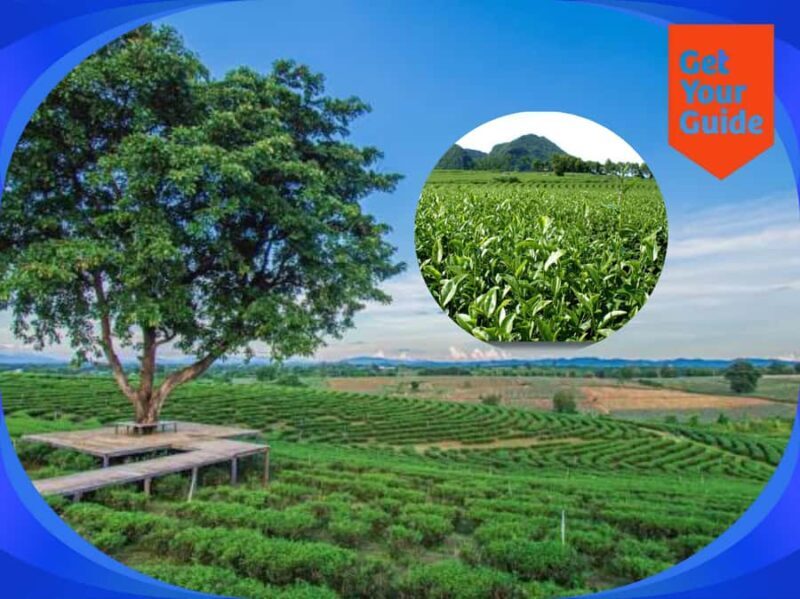 Special Chiang Rai: One Day Tour with Private Driver - An In-Depth Look at the Itinerary