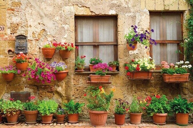 Special Chianti Afternoon Wine Tour from Florence - Detailed Pros and Cons for the Discerning Traveler