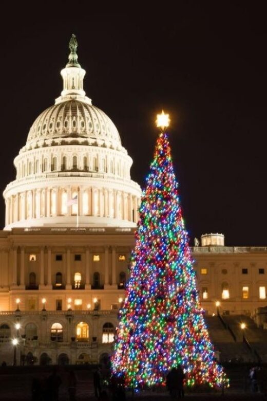Special Christmas tour in Washington - What’s Included and How It Works