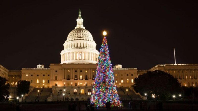 Special Christmas tour in Washington - Final Thoughts: Who Should Consider This Tour?