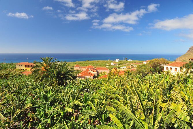 Special cruise tour Center and South La Palma (Price per car not per person) - Who Is This Tour Best For?
