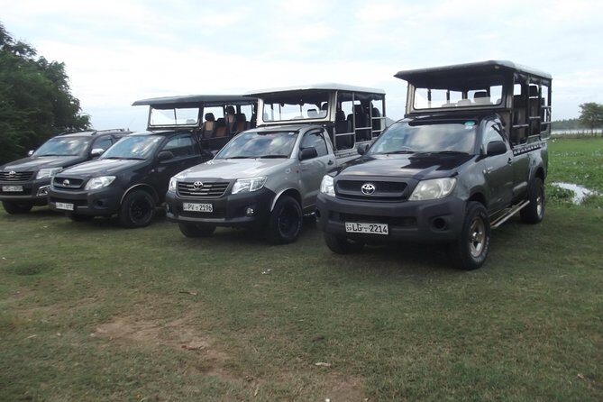 Special Leopards safari - Yala National park - 04.30 am to 11.30 am - The Itinerary: A Closer Look