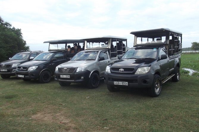 Special leopards safari Yala National park - 04.30 am to 11.30 am - The Booking and Getting There