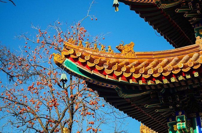 Special Offer: Lama Temple with Best Tour Guide - The Sum Up: Is It Worth It?