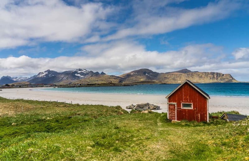 Special Summer Cruise Guided Tour of Lofoten - Discovering Lofoten: An Authentic Cruise Day Adventure