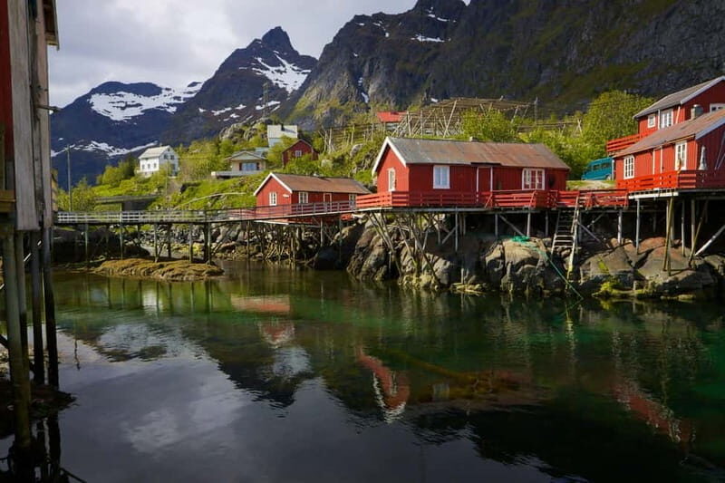 Special Summer Cruise Guided Tour of Lofoten - Why This Tour Works Well