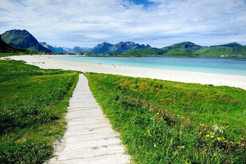 Special Summer Cruise Guided Tour of Lofoten - The Sum Up