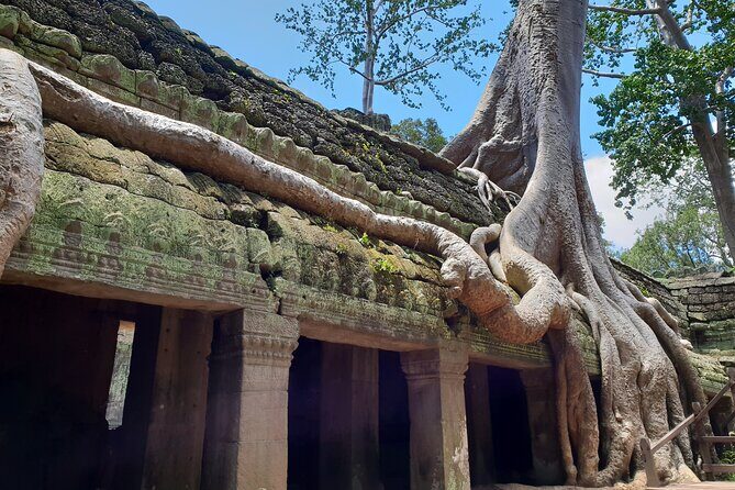 Special Three Days Angkor Tour - The Sum Up: Is This Tour Right for You?