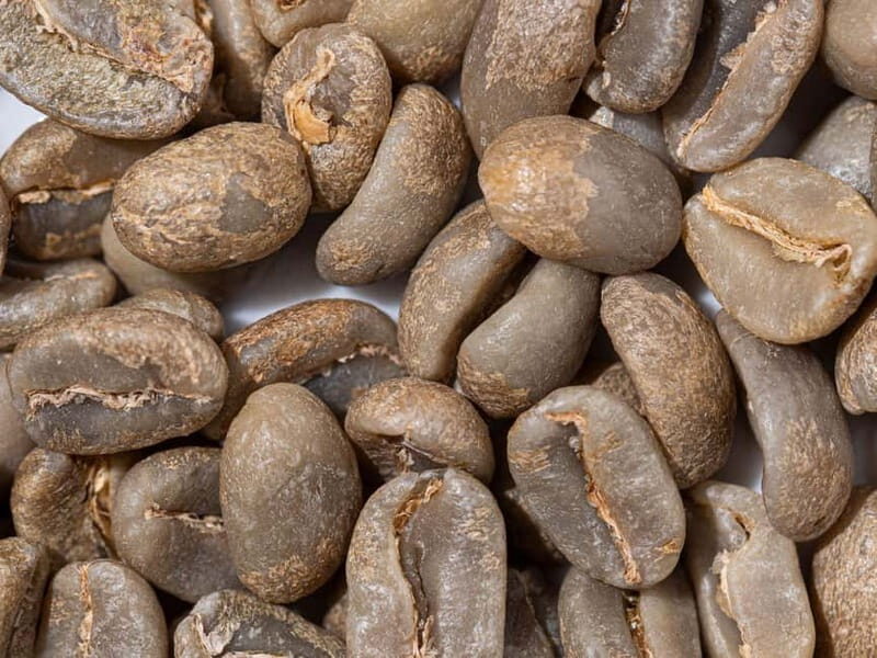 Specialty Coffee Workshop & Tasting Experience in Rome - Exploring the Specialty Coffee Workshop & Tasting Experience in Rome