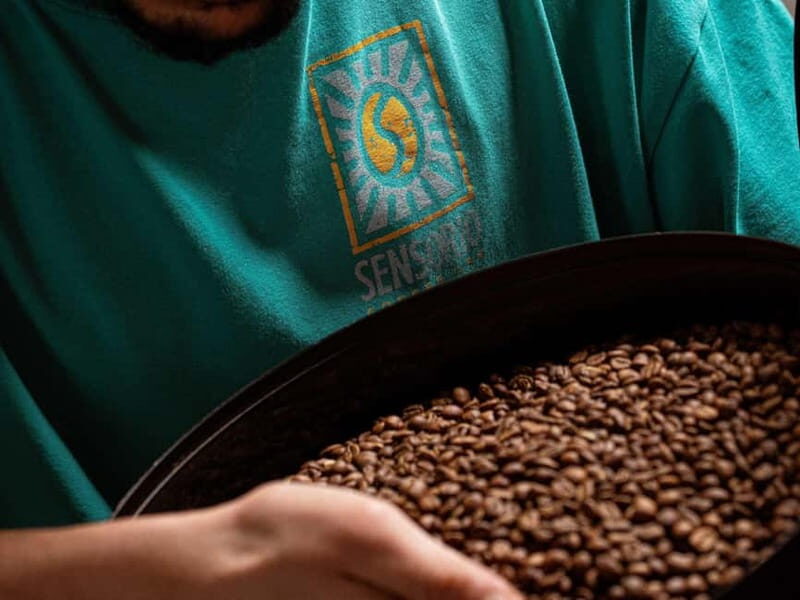 Specialty Coffee Workshop & Tasting Experience in Rome - Why It’s a Great Choice for Travelers