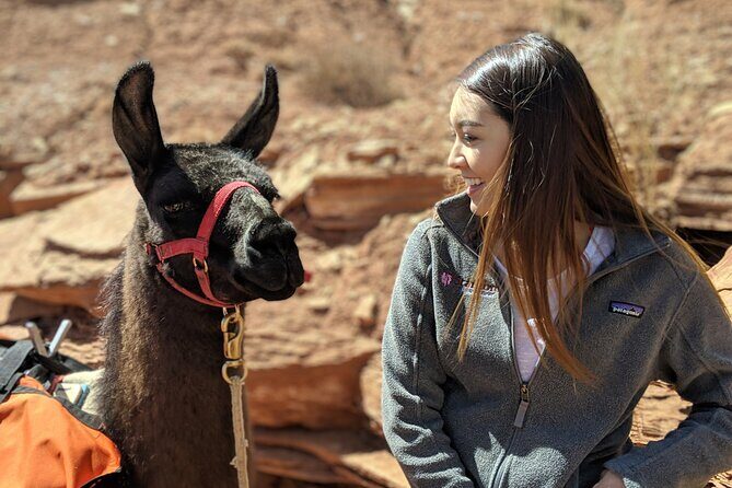 Spectacular 8-Hour Guided Llama Hike with Lunch and Dinner - Starting the Day: Meeting at Torrey, Utah
