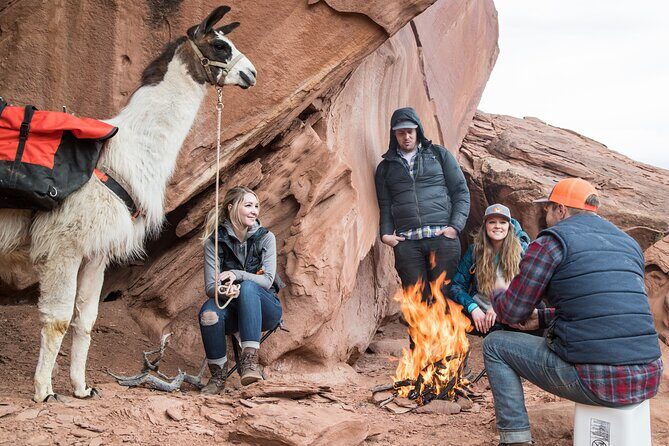 Spectacular 8-Hour Guided Llama Hike with Lunch and Dinner - Afternoon Continued Exploration
