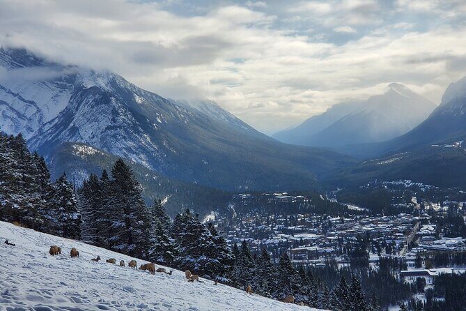 Spectacular Banff Day - Gondola Included - The Tour Experience: A Full Breakdown