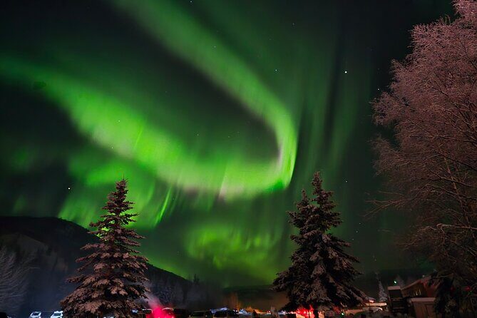 Spectacular Chena Hot springs Northern Lights experience - The Value of the Tour