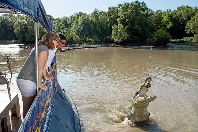 Spectacular Jumping Crocodile Cruise with Darwin Transfer Bus - What Travelers Say