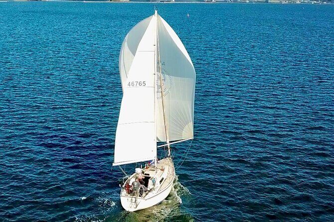 Spectacular Midday Sail - Key Points