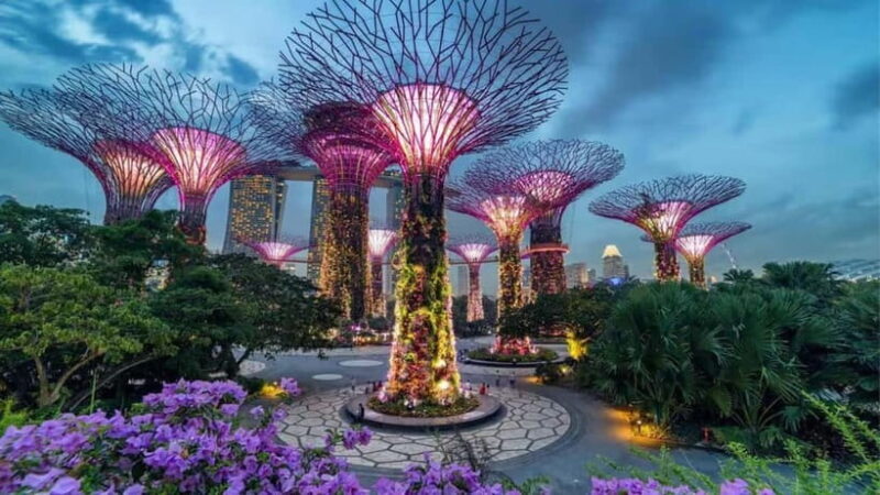 Spectra & Garden Rhapsody Shows with Singapore River Cruise - Authentic Reviews and What Travelers Say