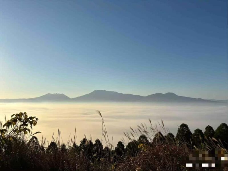 Spectrum of the Seas- Kumamoto Shore Excursion with Guide - Key Points