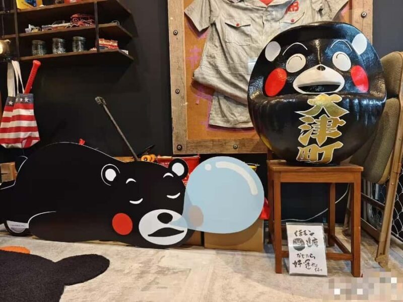 Spectrum of the Seas- Kumamoto Shore Excursion with Guide - What Makes This Tour Stand Out