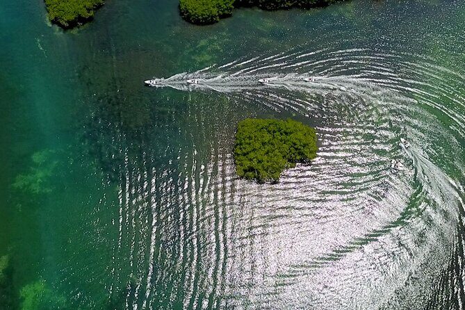 SpeeBoat Tour Whit Snorkeling In Cancún- Drive Your Own Boat - What’s Included and What’s Not