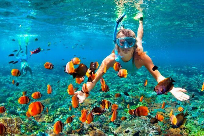 Speed Boat Adventure In Punta Cana - Detailed Breakdown of the Itinerary